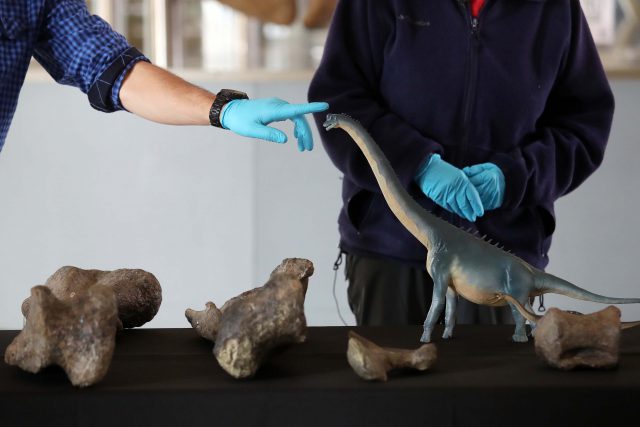 Presentan nueva especie de dinosaurio descubierto en Atacama – Letra Brava